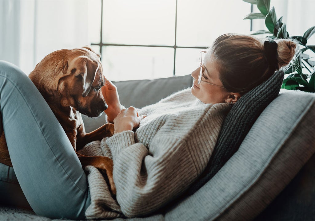 Motion Sensor Light Switches | Leviton Manufacturing